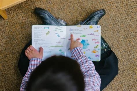 Método Glenn Doman Para Aprender A Leer