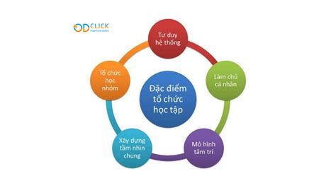 To chuc hoc tap1 Công ty TNHH Tư vấn Quản lý OD Click
