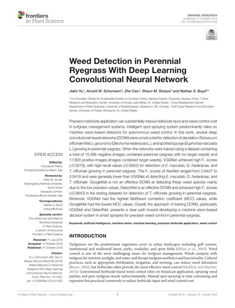pdf weed detection in perennial ryegrass with deep learning convolutional neural network