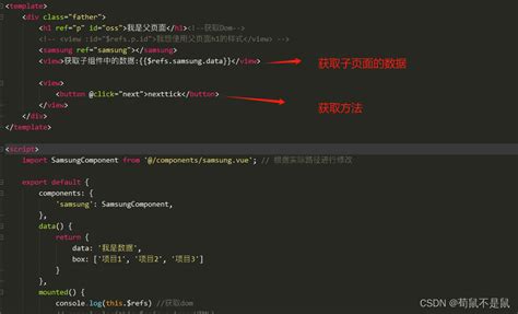 vue：ref的作用和实例 vue的ref csdn博客