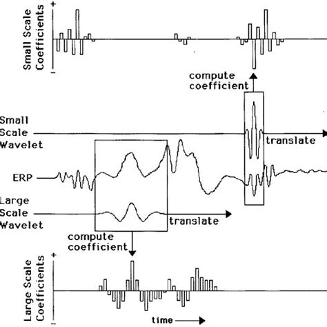 the haar scaling function and haar wavelet and their associated download scientific diagram
