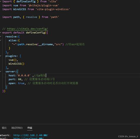vue vite如何修改端口 vite设置端口 csdn博客