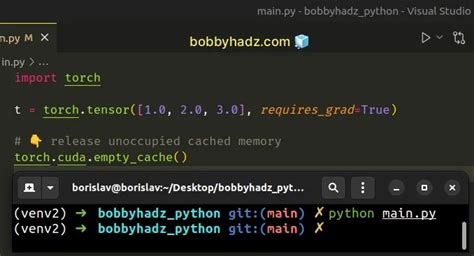 RuntimeError CUDA Out Of Memory Tried To Allocate X MiB Bobbyhadz