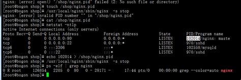 nginx error invalid PID number in var run nginx nginx pid CSDN博客