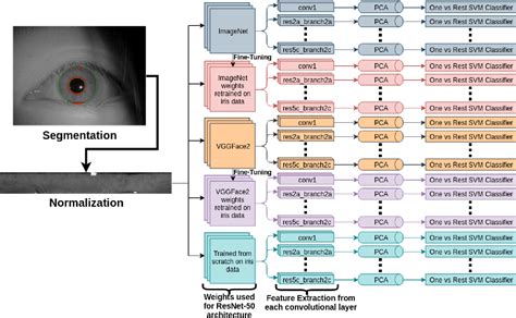 figure 1 from deep learning based feature extraction in iris recognition use existing models