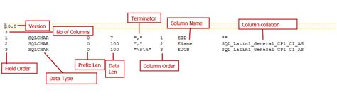 the bcp bulk copy program command in action