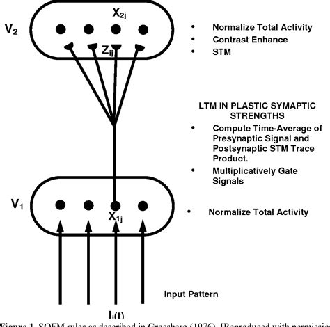 figure 1 from physiological interpretation of the self organizing map algorithm semantic scholar