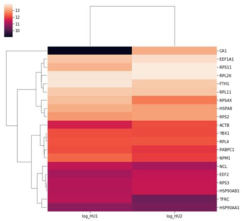 Python Extract Rows Of Clusters In Hierarchical Clustering Using Seaborn Clustermap Stack