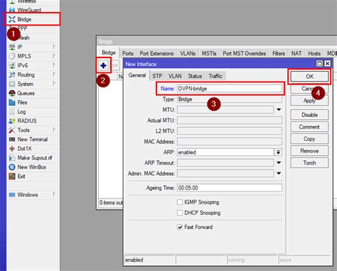 MikroTik CHR How To Set Up OpenVPN Server For Your IoT