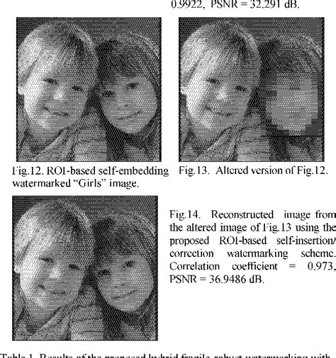 figure 14 from tamper detection with self correction hybrid spatial dct domains image