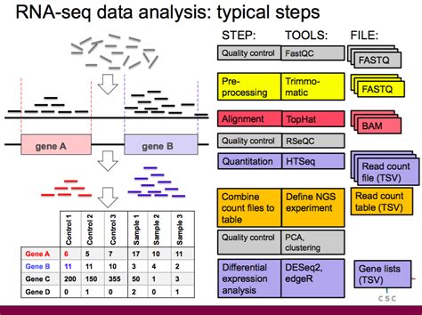 RNA Seq Data Analysis To Find Differentially Expressed Genes