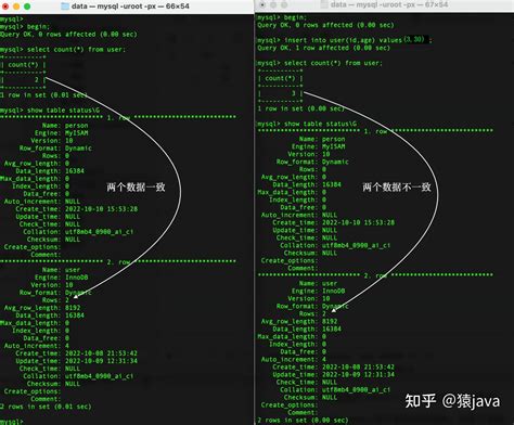 深度剖析：mysql count 函数，这下彻底明白了！ 知乎