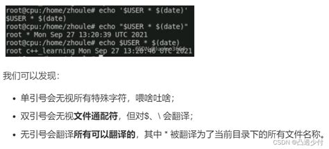 linux shell中echo后面的无引号、单引号、双引号、反引号的区别 linux echo 双引号 csdn博客