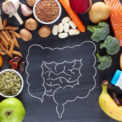 Probiotics For Digestive Health Probiotics Learning Lab
