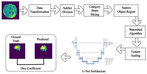 computers free full text brain tumor segmentation of mri images using processed image driven
