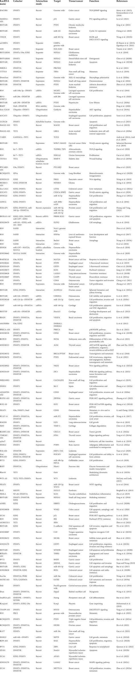 Frontiers Insights Into The Role Of Long Non Coding RNAs In DNA