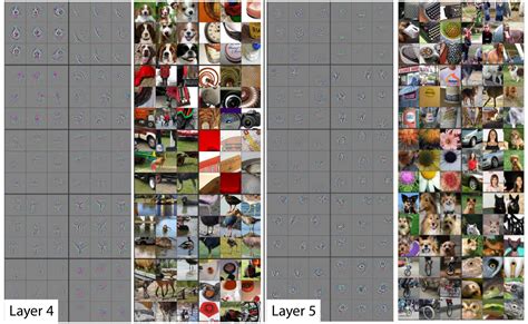 Visualizing And Understanding Convolutional Networks Paper Survey