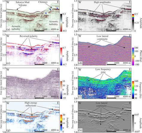 Examples Of Different Seismic Attribute Sections A True Amplitude