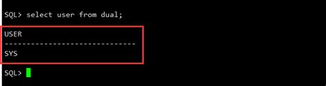 docker安装oracle 11g docker 安装oracle11g csdn博客