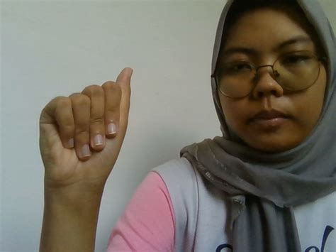 sibi sign language statis object detection dataset by project sign language