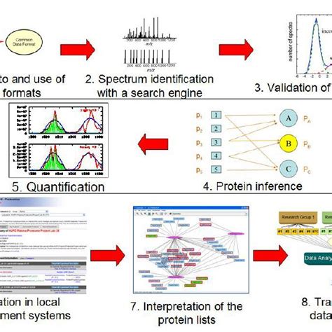 Schematic Overview Of The Typical Workflow Of The Proteomics