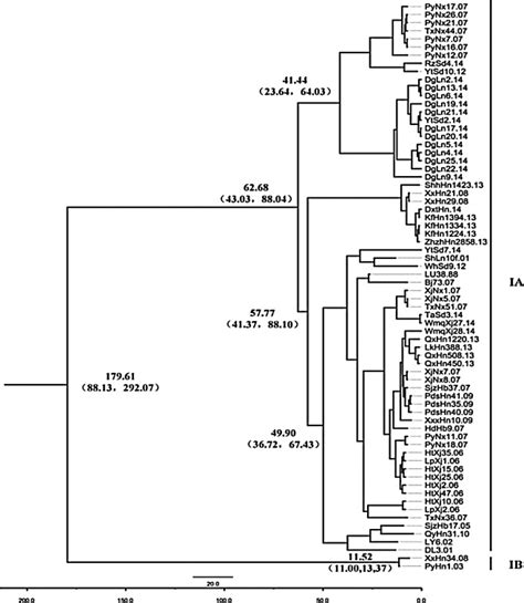 the bayesian markov chain monte carlo mcmc tree with vp3 vp1 2a download scientific diagram