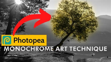 PHOTOPEA Monochrome Art Technique Step By Step For Beginners YouTube
