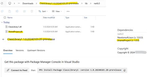 Net Packing NuGet As Prerelease While Also Using
