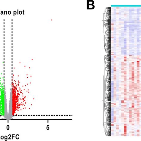 Volcano Plot A And Hierarchical Clustering Diagram B Of