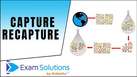 capture recapture examsolutions youtube