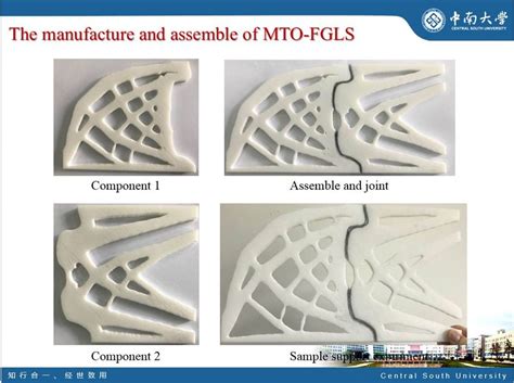 pdf multi‐component topology optimization of functionally‐graded lattice structures with bulk