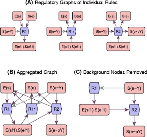 figure 4 from visualizing regulation in rule based models semantic scholar