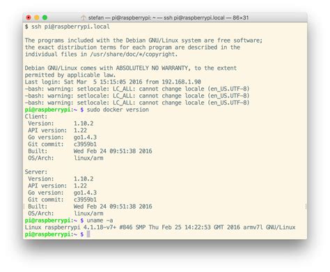 Run Docker On A Raspberry Pi 3 With Onboard WiFi Docker Pirates ARMed