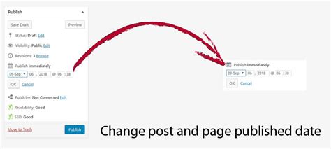 How To Change Post And Page Published Date In WordPress Template Sell