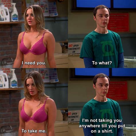 Pin On The Big Bang Theory