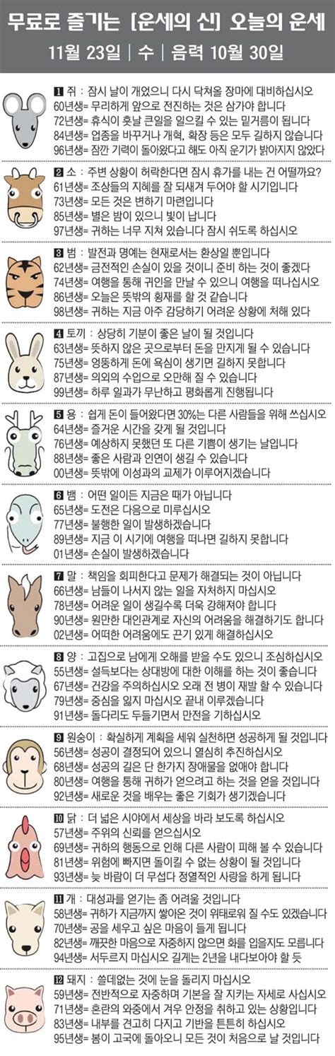 직장인을 위한 오늘의 운세 2022년 11월 23일 수요일 오늘의 띠별 운세 음력 10월 30일 네이트뉴스