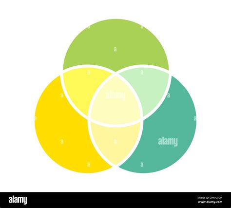 Venn Diagram Circles Chart Infographic Vector Design Elements For