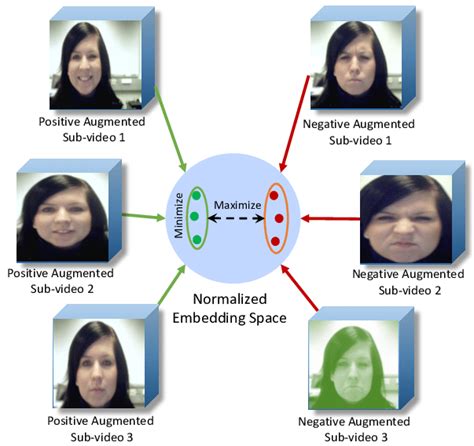 contrastive self supervised learning using various augmentations here download scientific