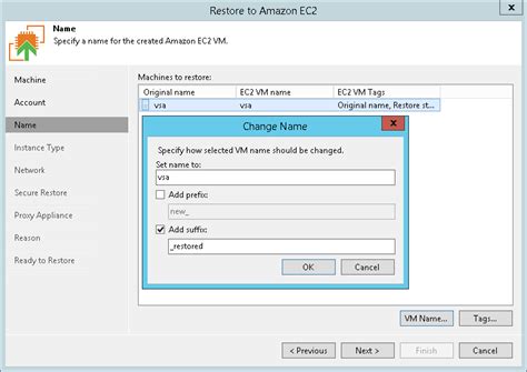 第4步指定名称和标签 Veeam Backup Guide for Hyper V