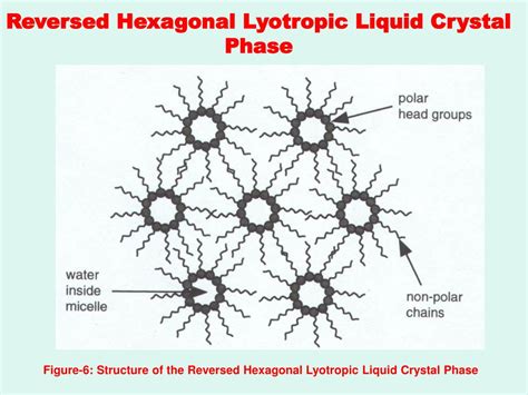 PPT Lyotropic Liquid Crystals Anisotropic Solutions PowerPoint