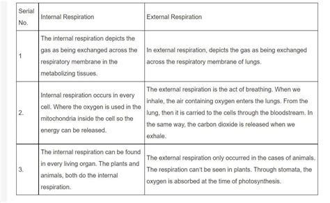 Write Any Two Differences Between External And Internal Respiration