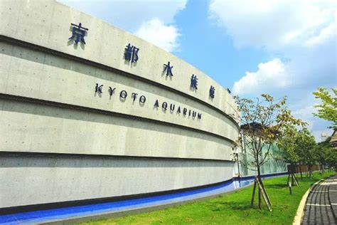 日本京都世界遗产二条城NAKED秋日祭典2023光雕秀门票