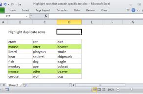 Highlight Row And Column Intersection Exact Match Excel Formula