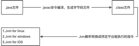 基础进阶知识 虚拟机（jvm） 《剑指 java 专家》 极客文档