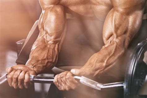 13 Best Forearm Workouts And Exercises EATS