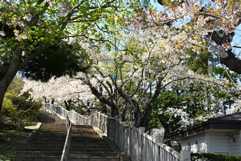 函館公園の風景 1 by 浮雲半兵衛 ID11777219 写真共有サイト PHOTOHITO