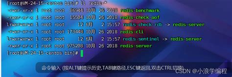 【redis系列】在centos7上安装redis5 0保姆级教程！ centos7 安装redis5 0服务器 csdn博客