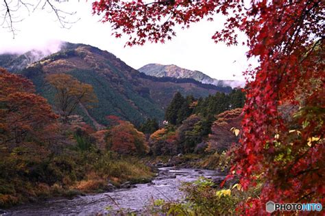 紅に染まる御岳渓谷 by カニサガ ID10762310 写真共有サイト PHOTOHITO
