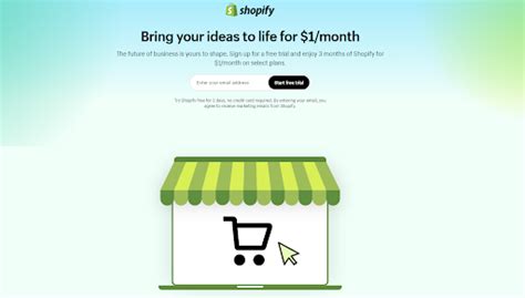 How To Create Shopify Landing Page With Examples Sellbery