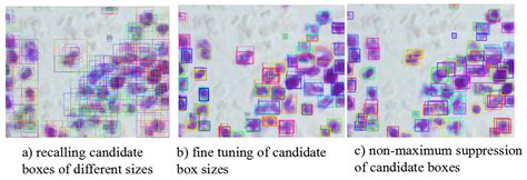cells free full text multi path dilated residual network for nuclei segmentation and detection